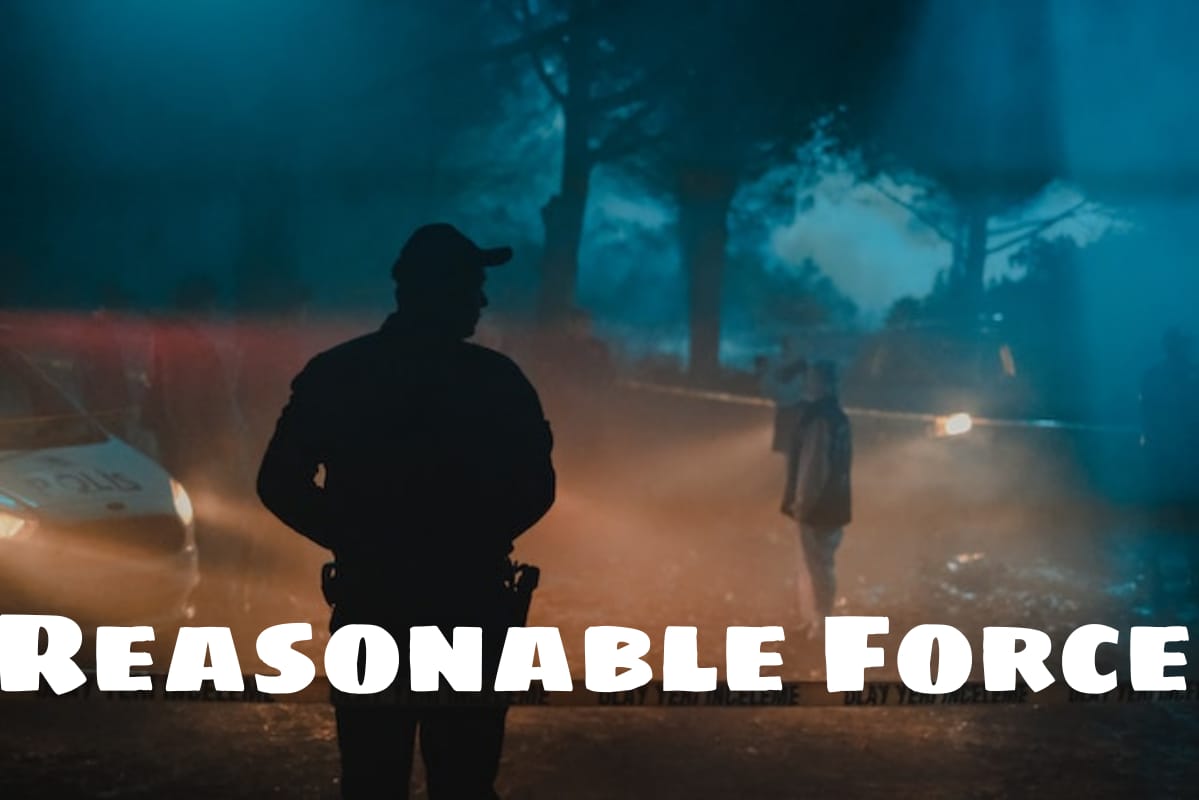 Detailed analysis of Section 46 of CrPC: Reasonable Force Use by Police ...